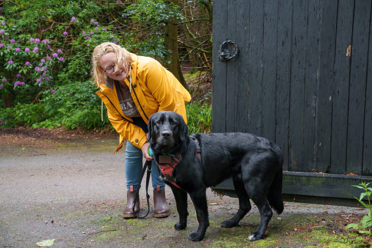 Dog rescued after plunging 50ft down Aberdeenshire gorge