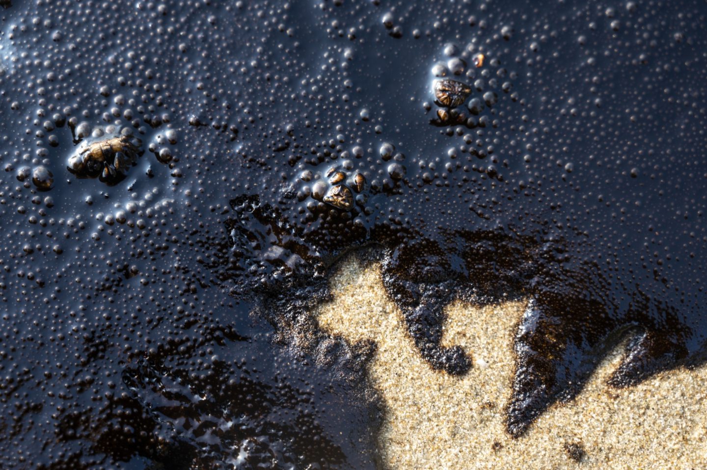 Indonesia to file $1.7bn Montara oil spill lawsuit against Thailand’s ...