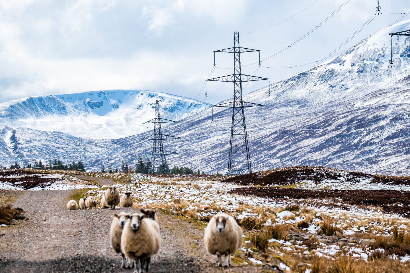 United Infrastructure acquires Wood's UK transmission business
