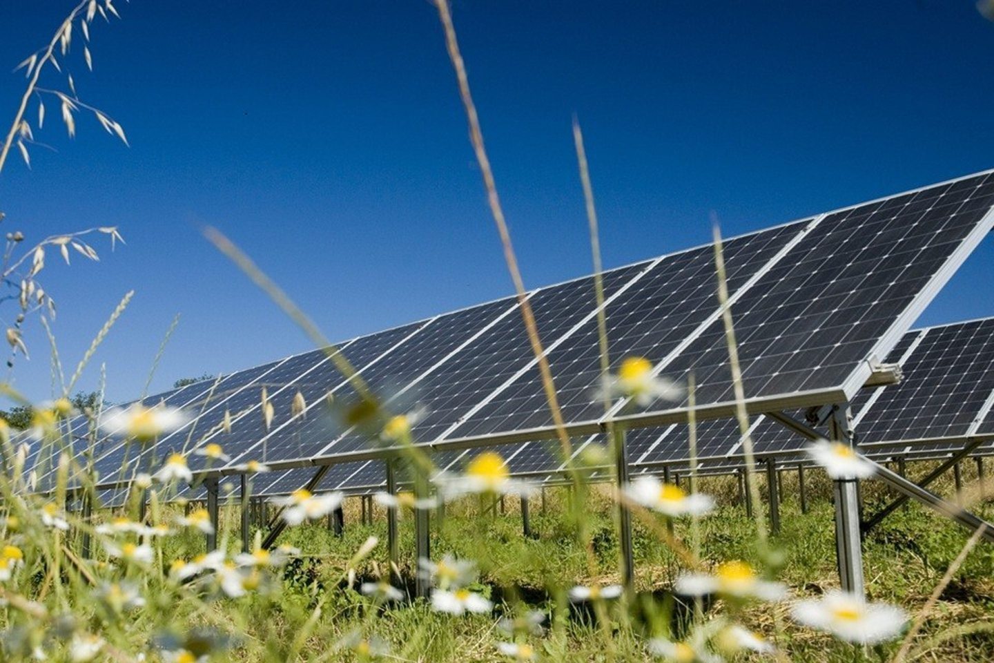 GB set to miss 2030 clean power target - LCP Delta