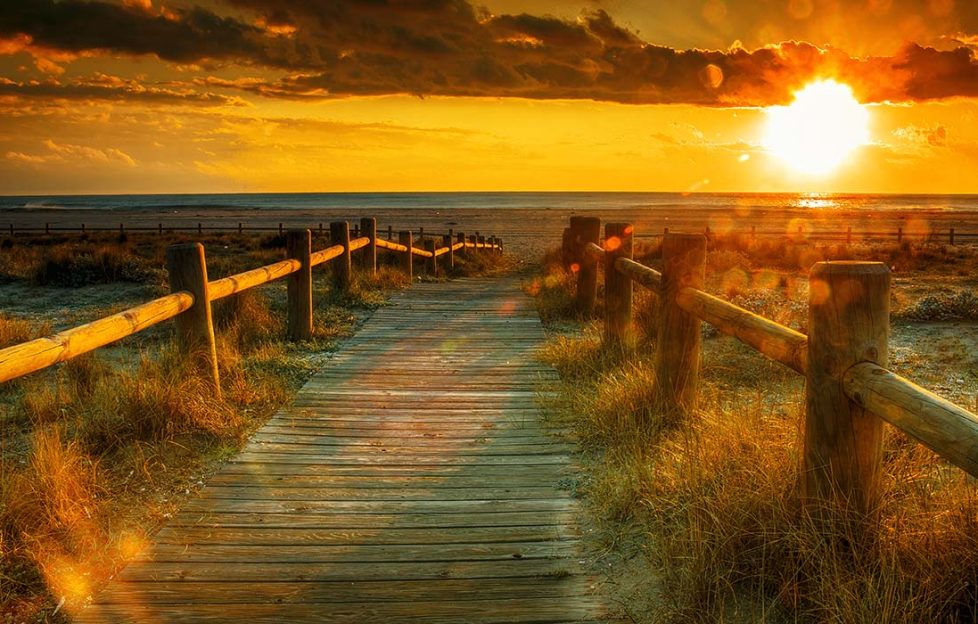 Things to do on a sunny day: 10 ideas