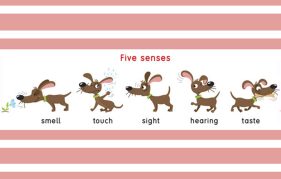 How To Use The Five Senses In Writing - The People's Friend