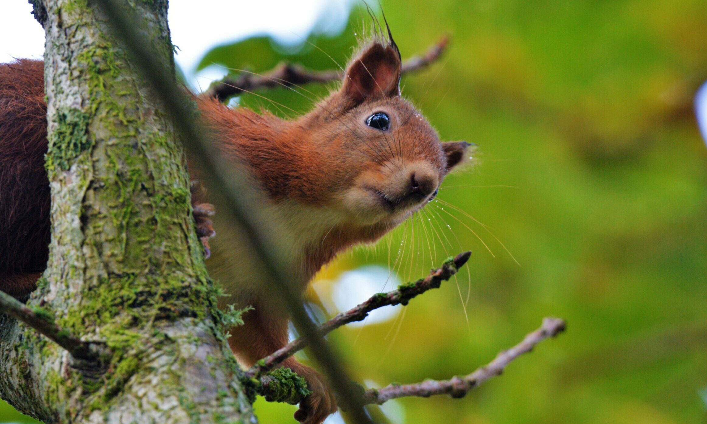 Nature Watch: A treasure trove of natural surprises at Forfar Loch ...