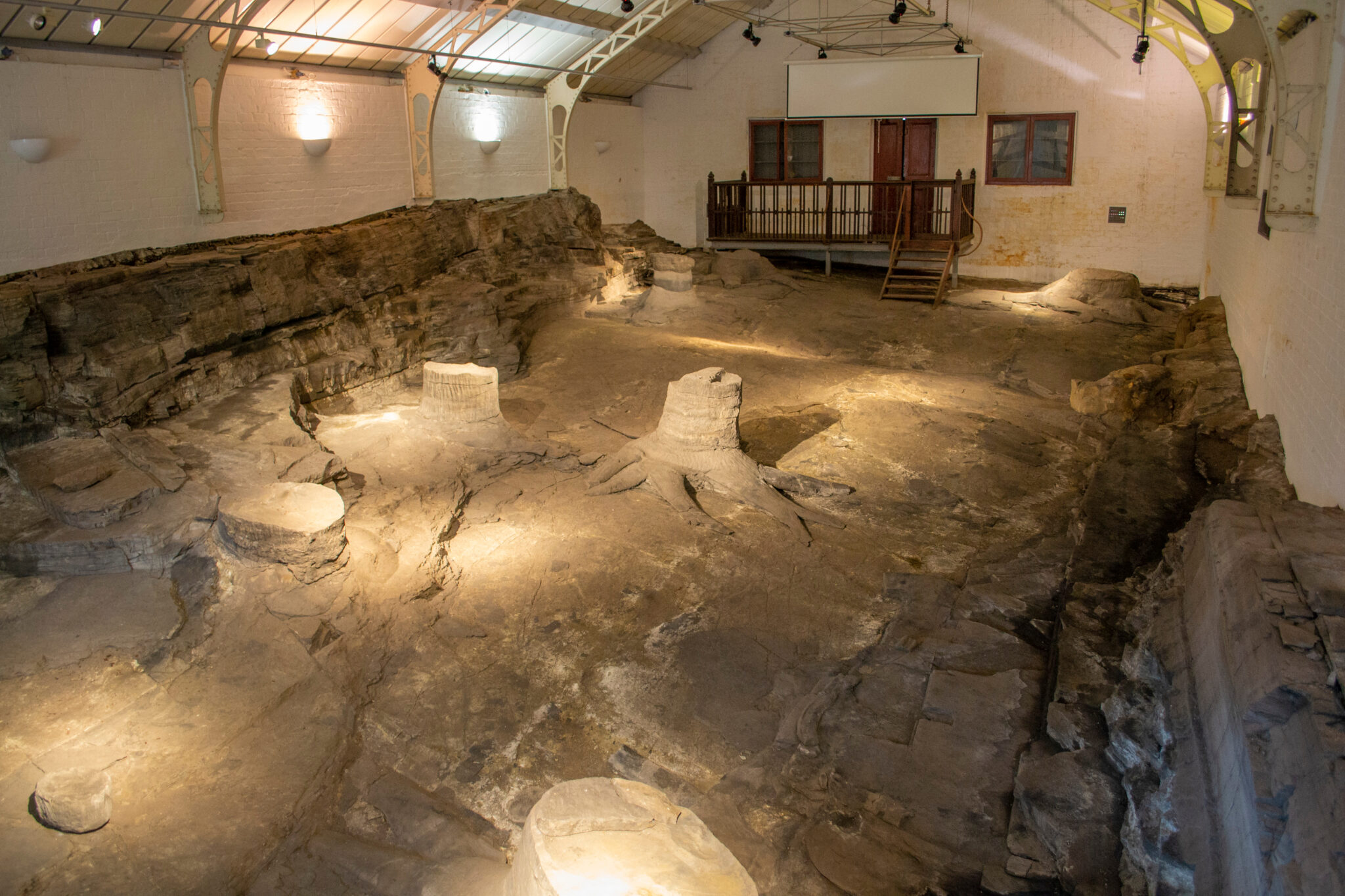 Fossils, Stones and Other Geological Finds In Scotland - The Scots Magazine