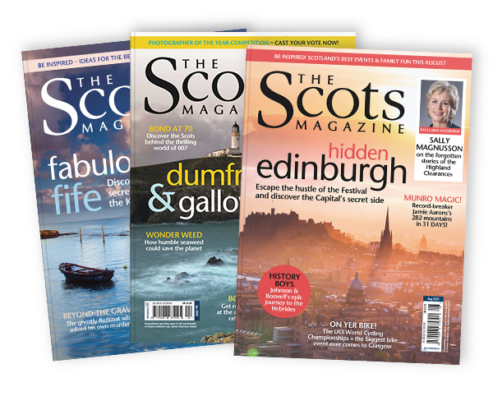 Five Fascinating Facts – Wildcats - The Scots Magazine